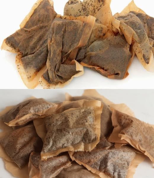 Teabags: 7 household remedies that show why you should never throw away ...